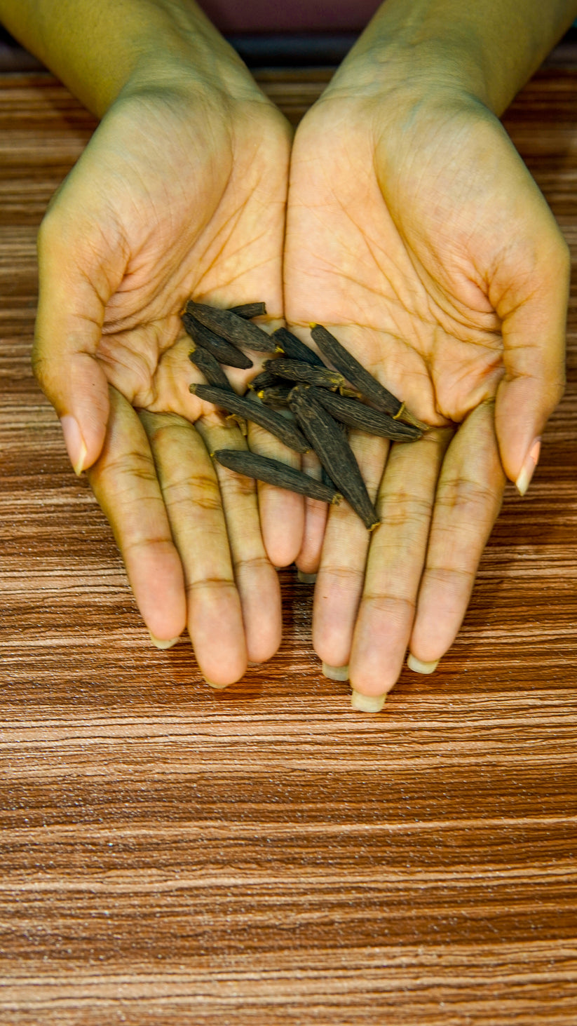 Marathi Moggu – Dark Nature